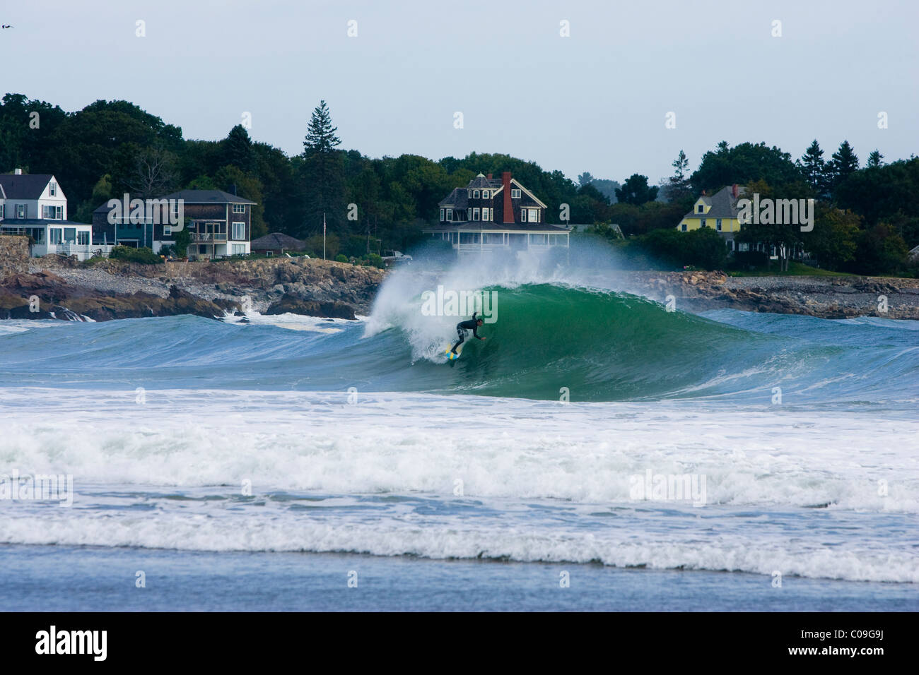Surfer dropping in in Maine Stock Photo - Alamy