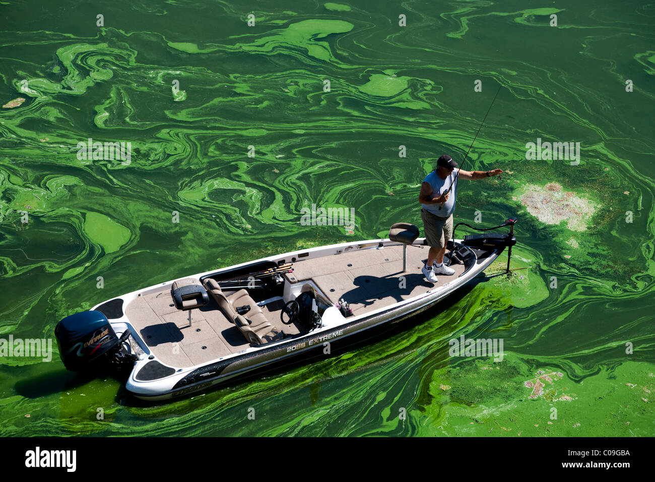 A bass fisherman casts for fish in the Toxic Blue Green Algae in the ...