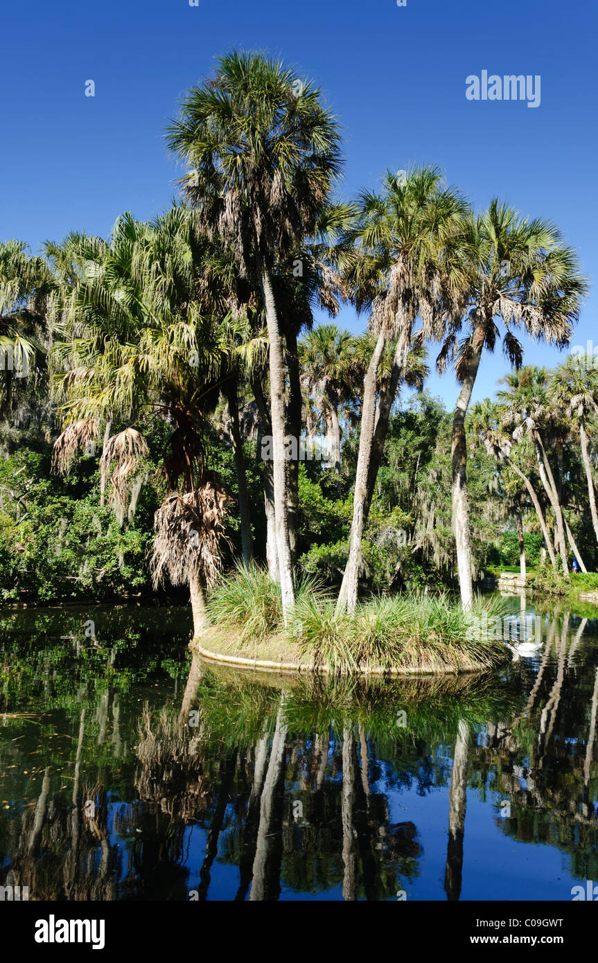 Homosassa Springs Wildlife State Park Florida USA Stock Photo - Alamy