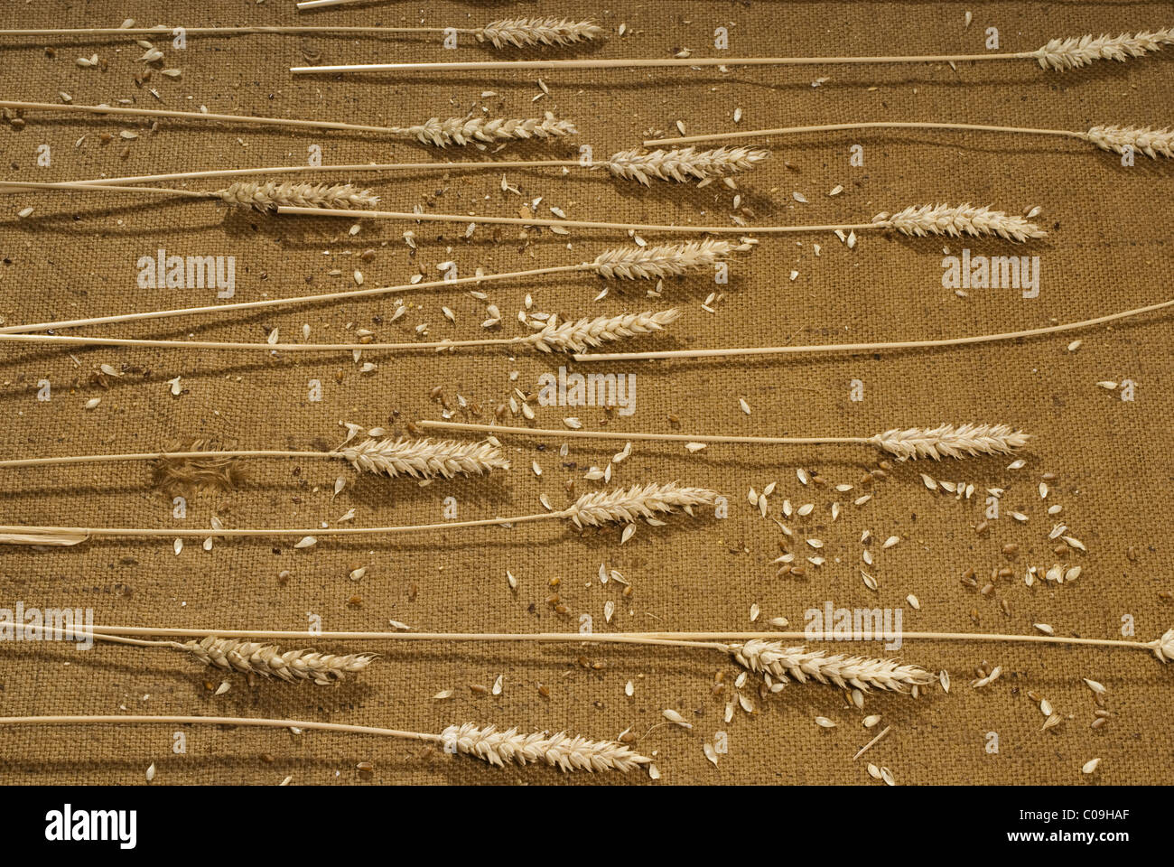 background with wheat Stock Photo - Alamy
