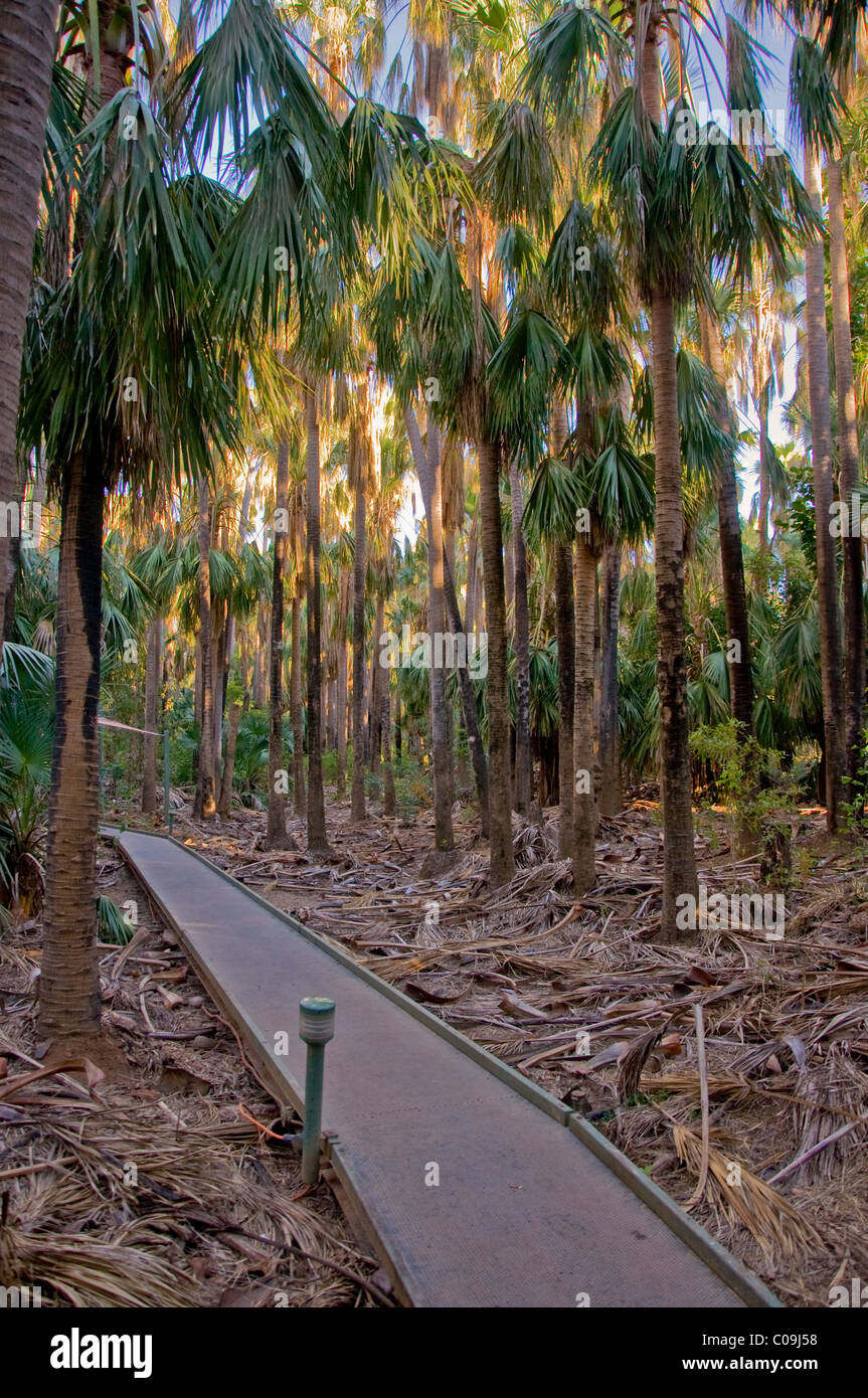 Australian scenery hi-res stock photography and images - Alamy