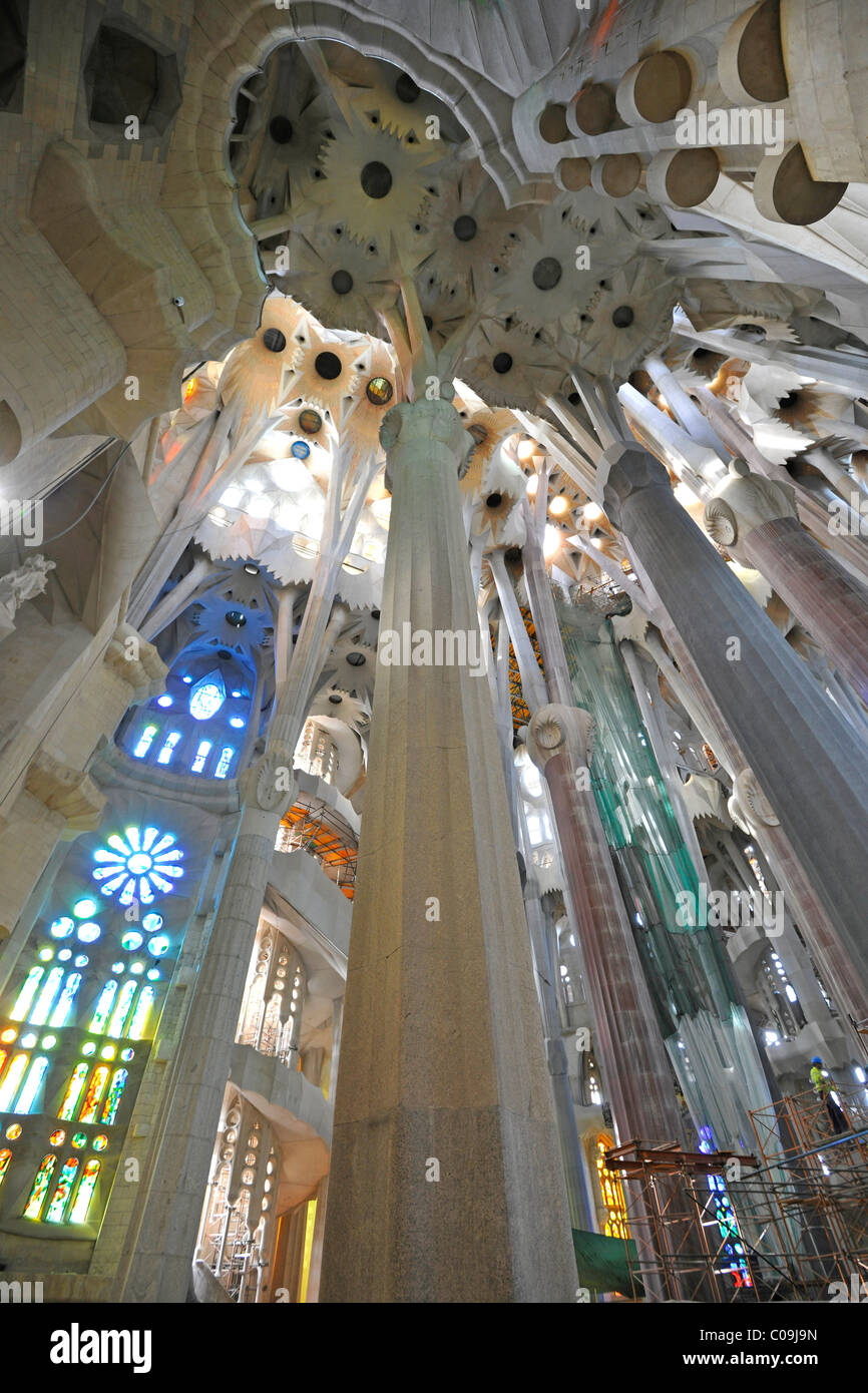 Tree-like columns in the partially finished interior, Basilica Temple ...