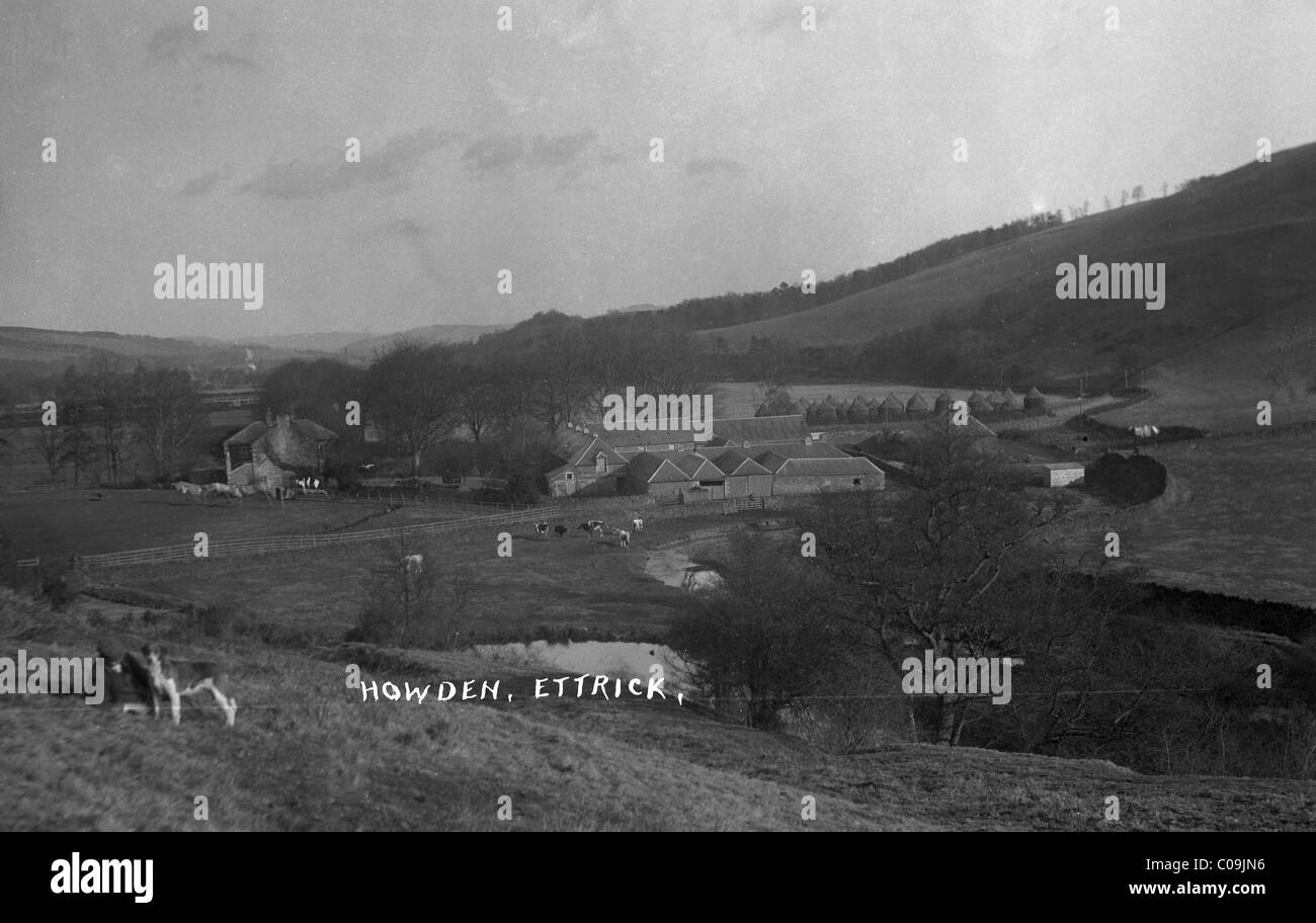 Scotland scottish borders ettrick valley hi-res stock photography and ...