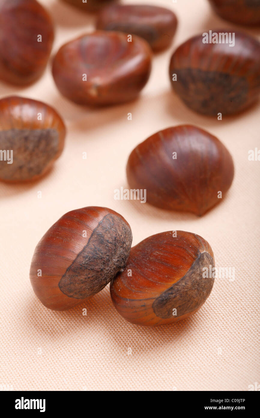 Chestnuts on a cloth napkin Stock Photo - Alamy