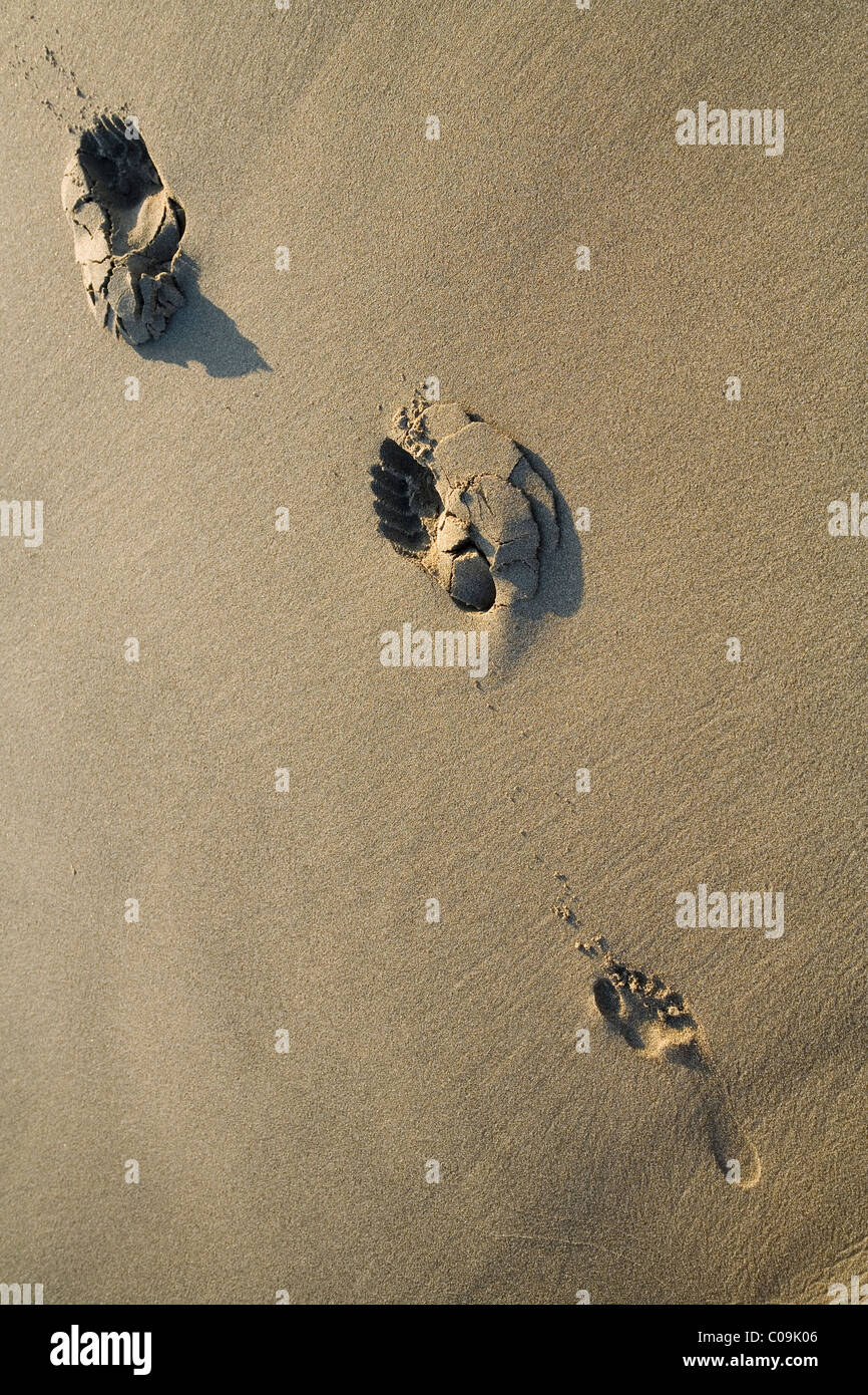 Human bare footprints in damp sand Stock Photo - Alamy