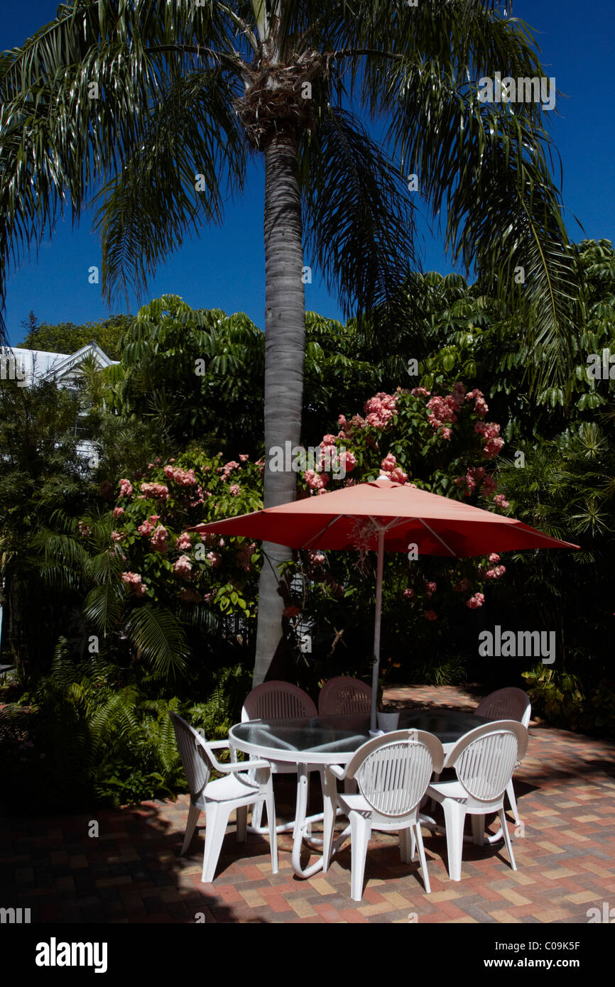 Courtyard with palm tree hi-res stock photography and images - Alamy