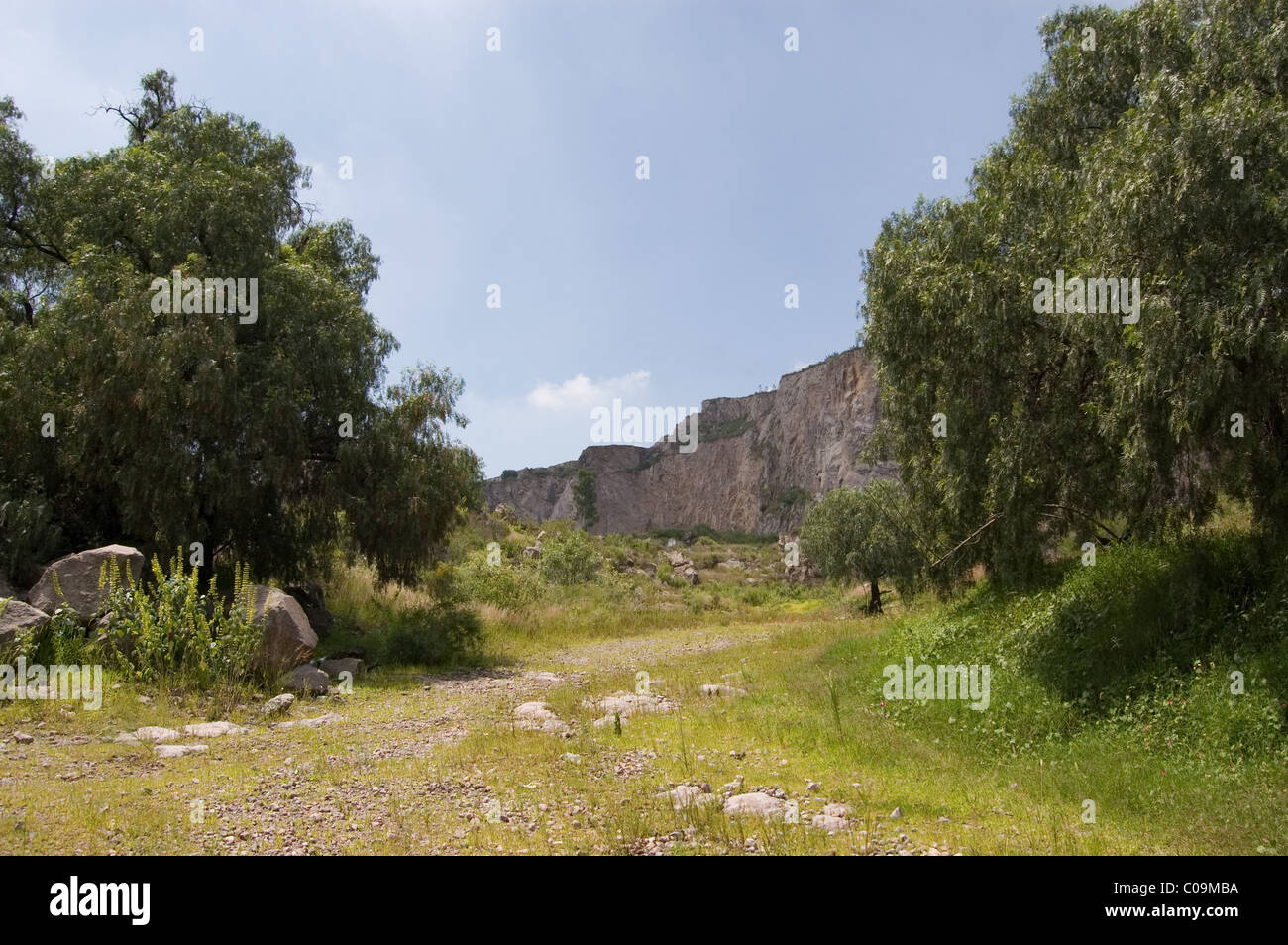 Entrance to a rock quarry with some Peruvian Pepper trees (Schinus ...