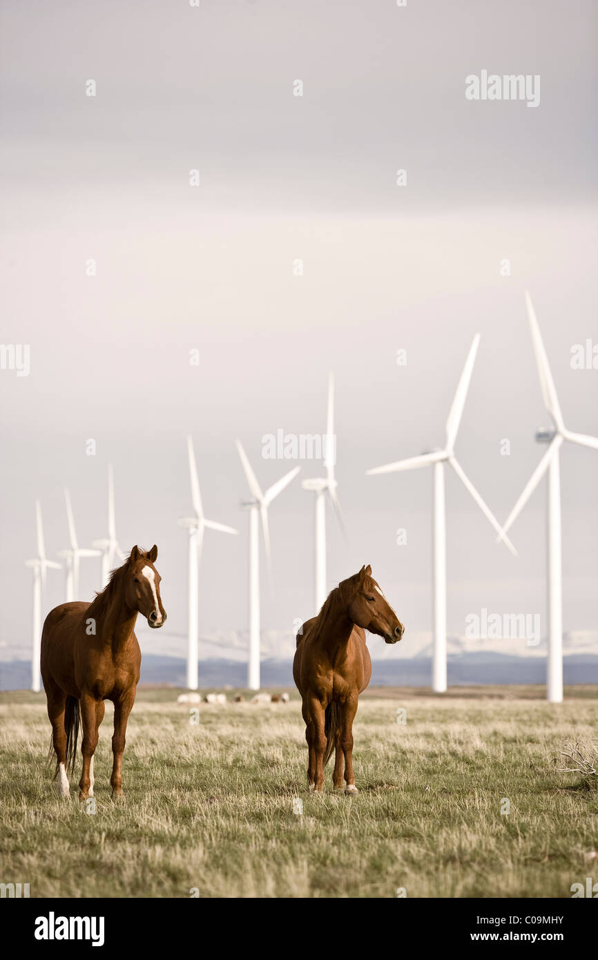 Scenics natu hi-res stock photography and images - Alamy