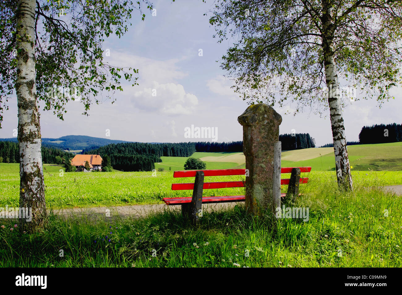 Landscape near Furtwangen in the Black Forest, Baden-Wuerttemberg ...