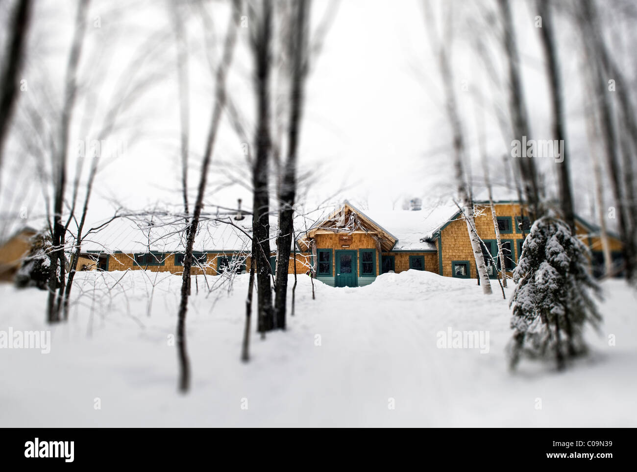 View through bare trees and deep snow of the Flagstaff Hut of Maine ...