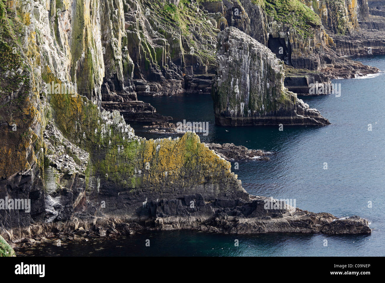 Cliffs, steep coast on the Old Head of Kinsale, County Cork, Republic ...