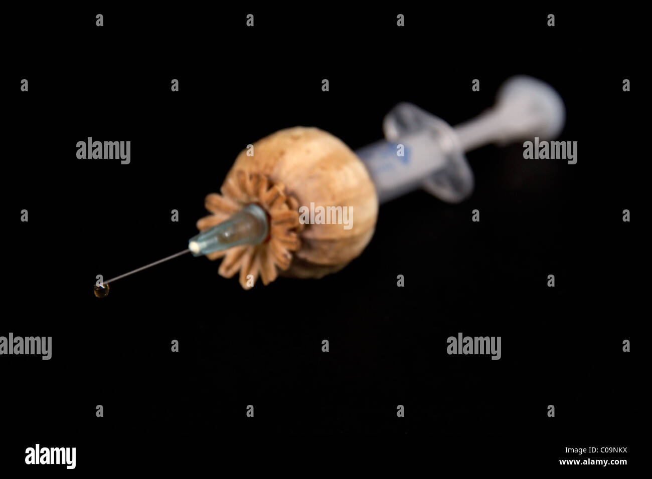 Syringe with an injection of the drug made of a poppy, on a black ...