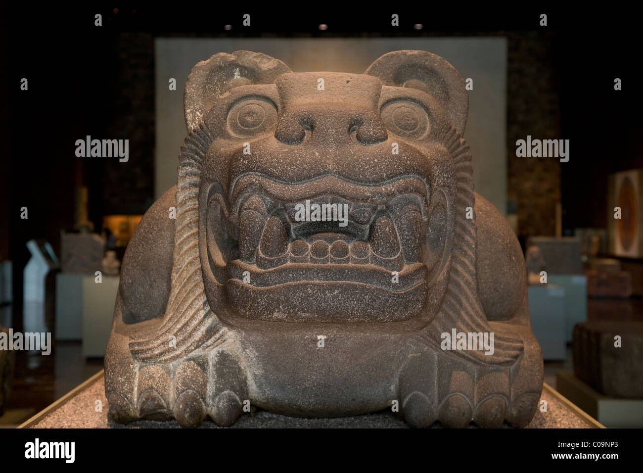 Aztec sacrificial recipient representing Ocelotl-Cuauhxicalli in the ...