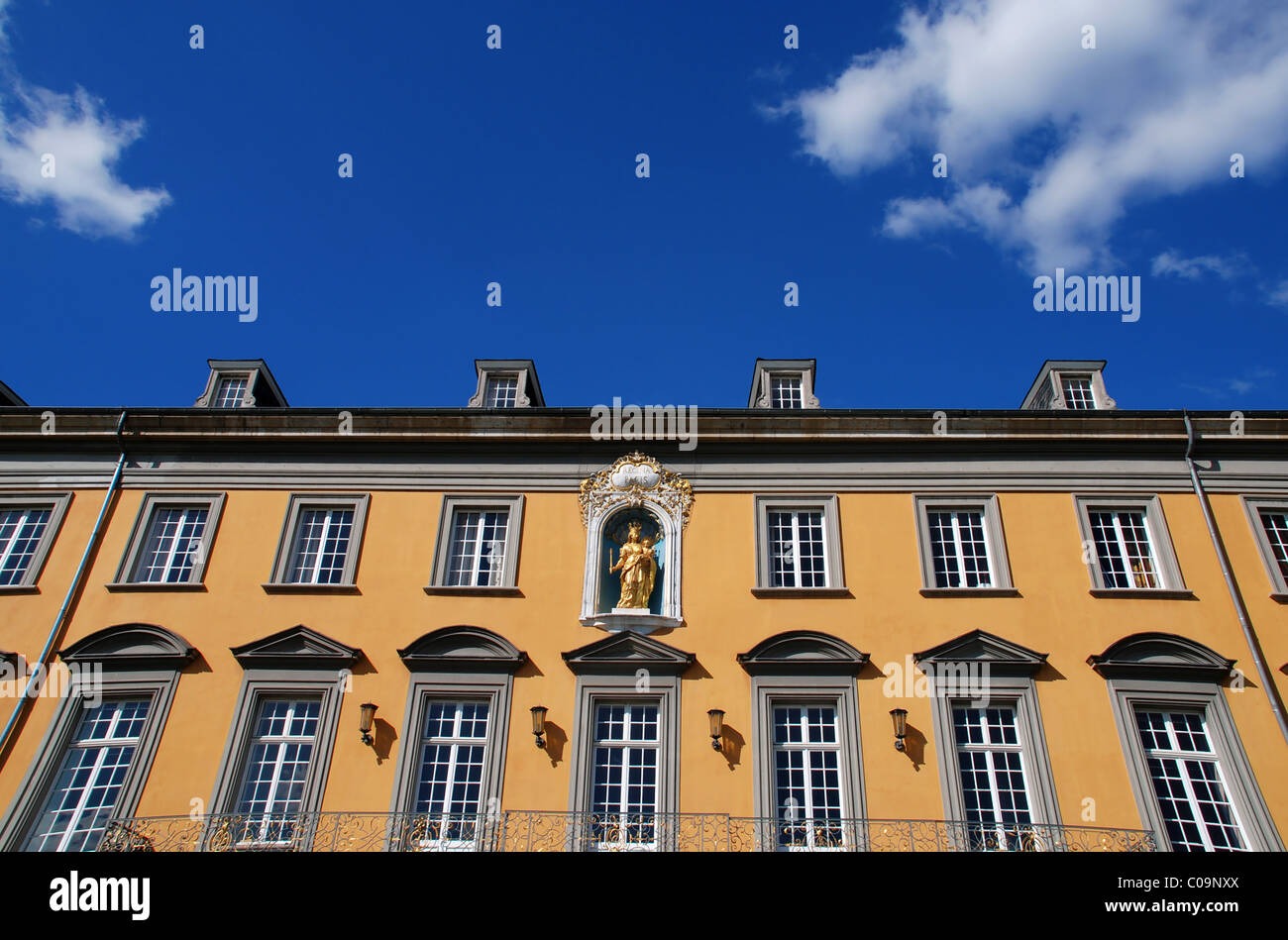 Study in bonn hi-res stock photography and images - Alamy