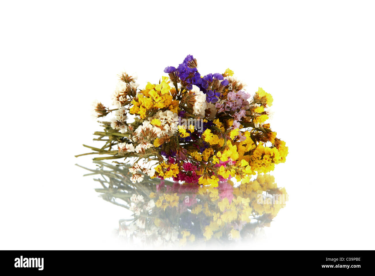 Bouquet of flowers laying horizontally on a white background Stock ...