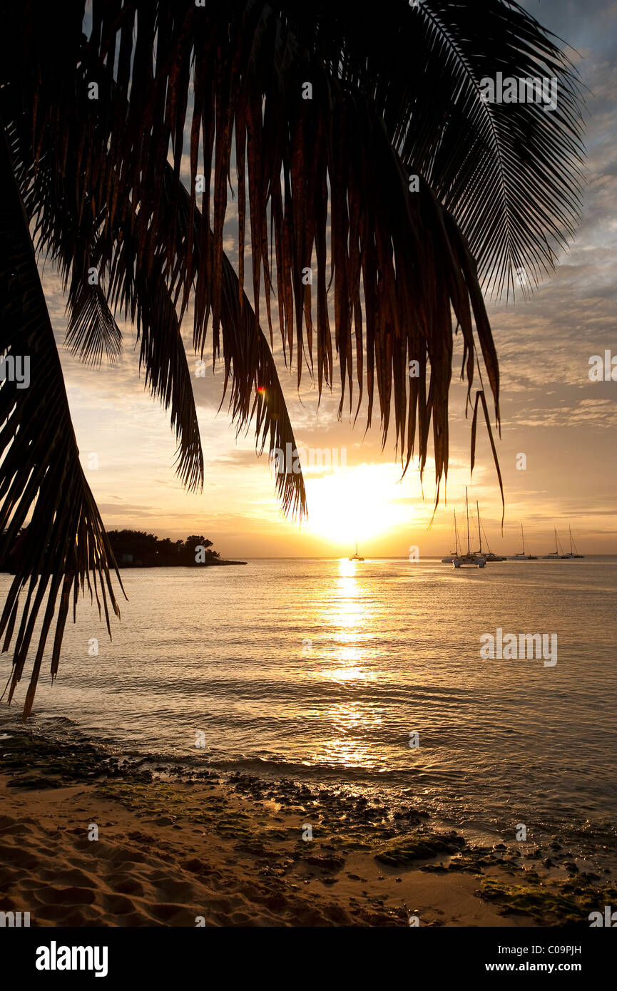 Dominican republic beach sunset hi-res stock photography and images - Alamy
