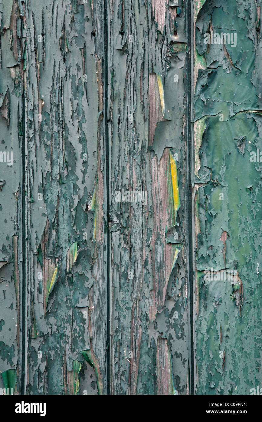 Flaking paint on an old wooden door Stock Photo - Alamy