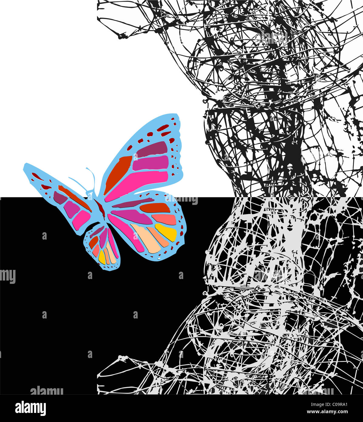 Butterfly leaving cocoon hi-res stock photography and images - Alamy