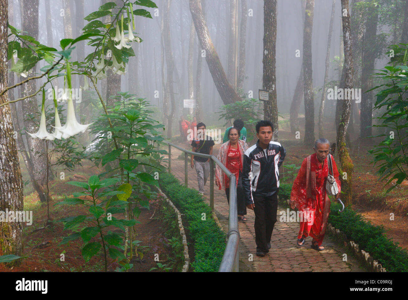 Pilgrimage trail through a fog-filled forest, Salib Kasih Mountain ...