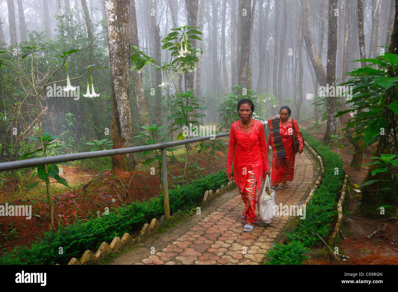 Pilgrimage trail through a fog-filled forest, Salib Kasih Mountain ...