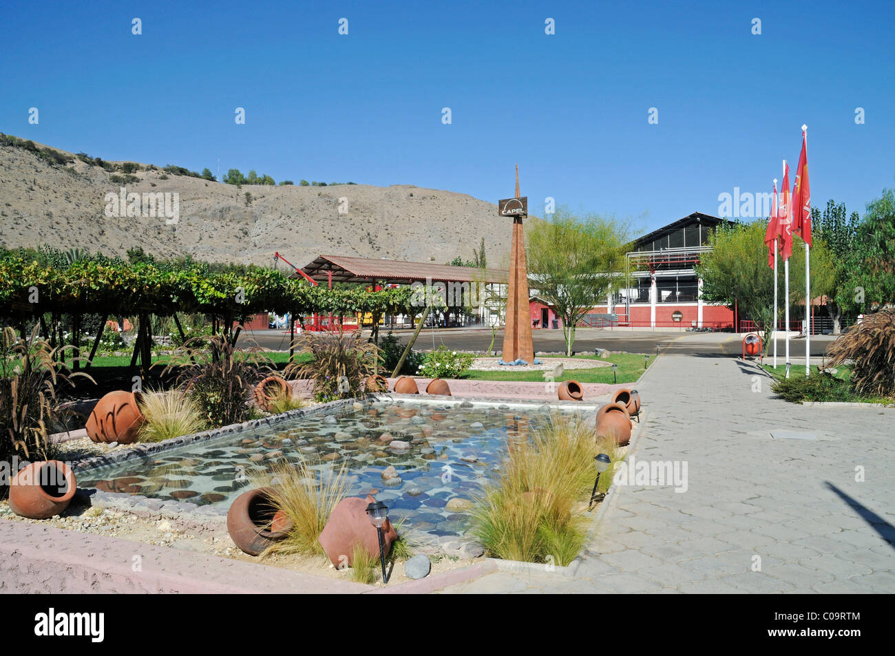 Capel, Pisco distillery, national drink, Vicuna, Valle d'Elqui, Elqui ...