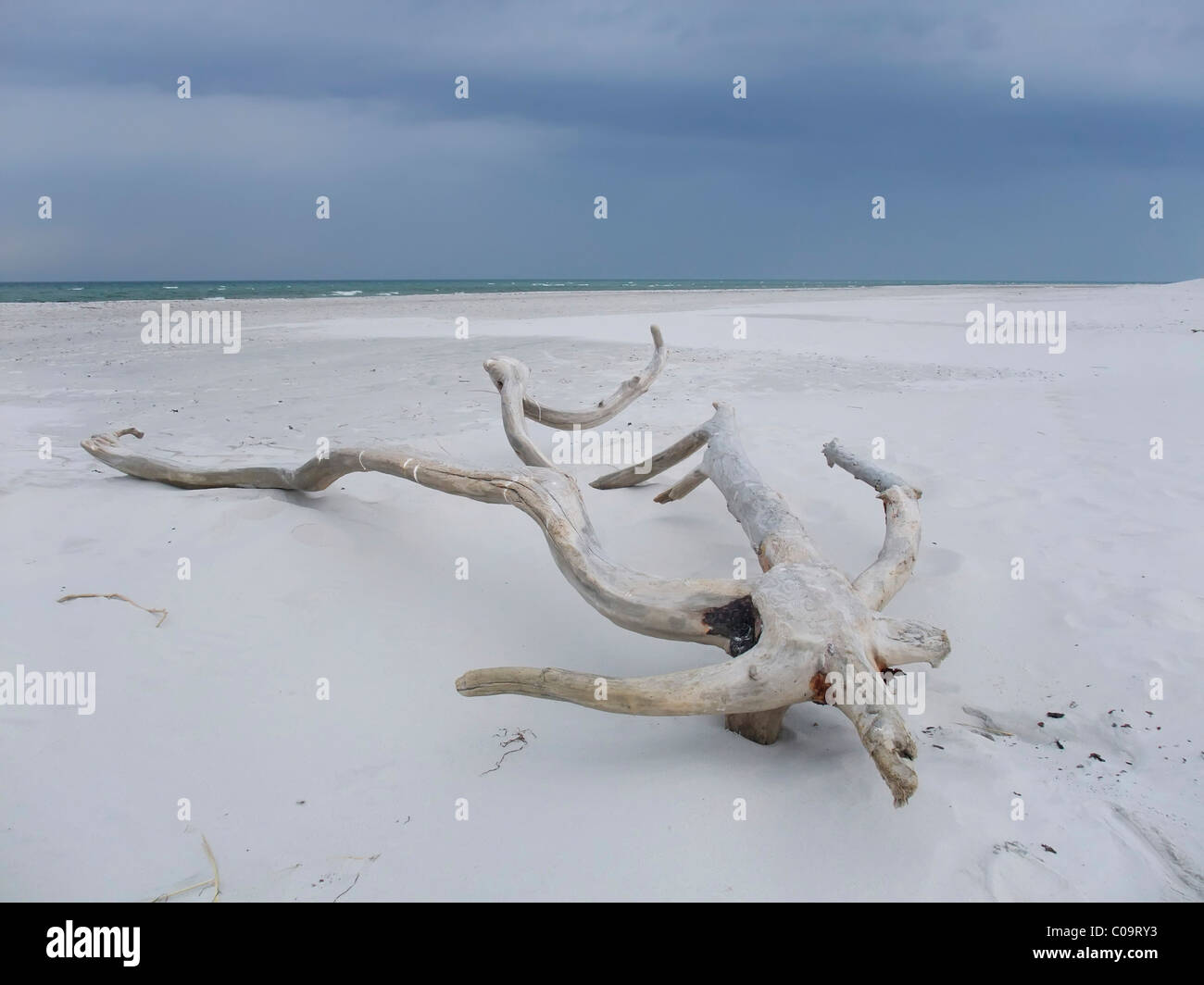 Beach of Dueodde, Bornholm, Denmark, Europe Stock Photo - Alamy