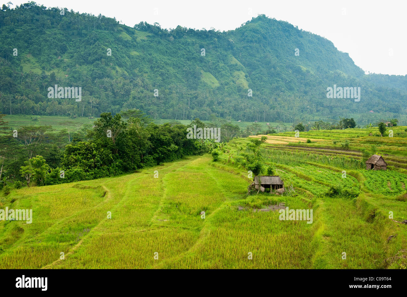 The Sideman Valley in Bali, Indonesia, has some of the most beautiful ...