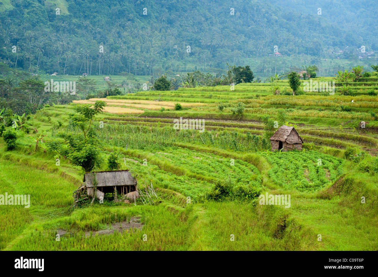 The Sideman Valley in Bali, Indonesia, has some of the most beautiful ...