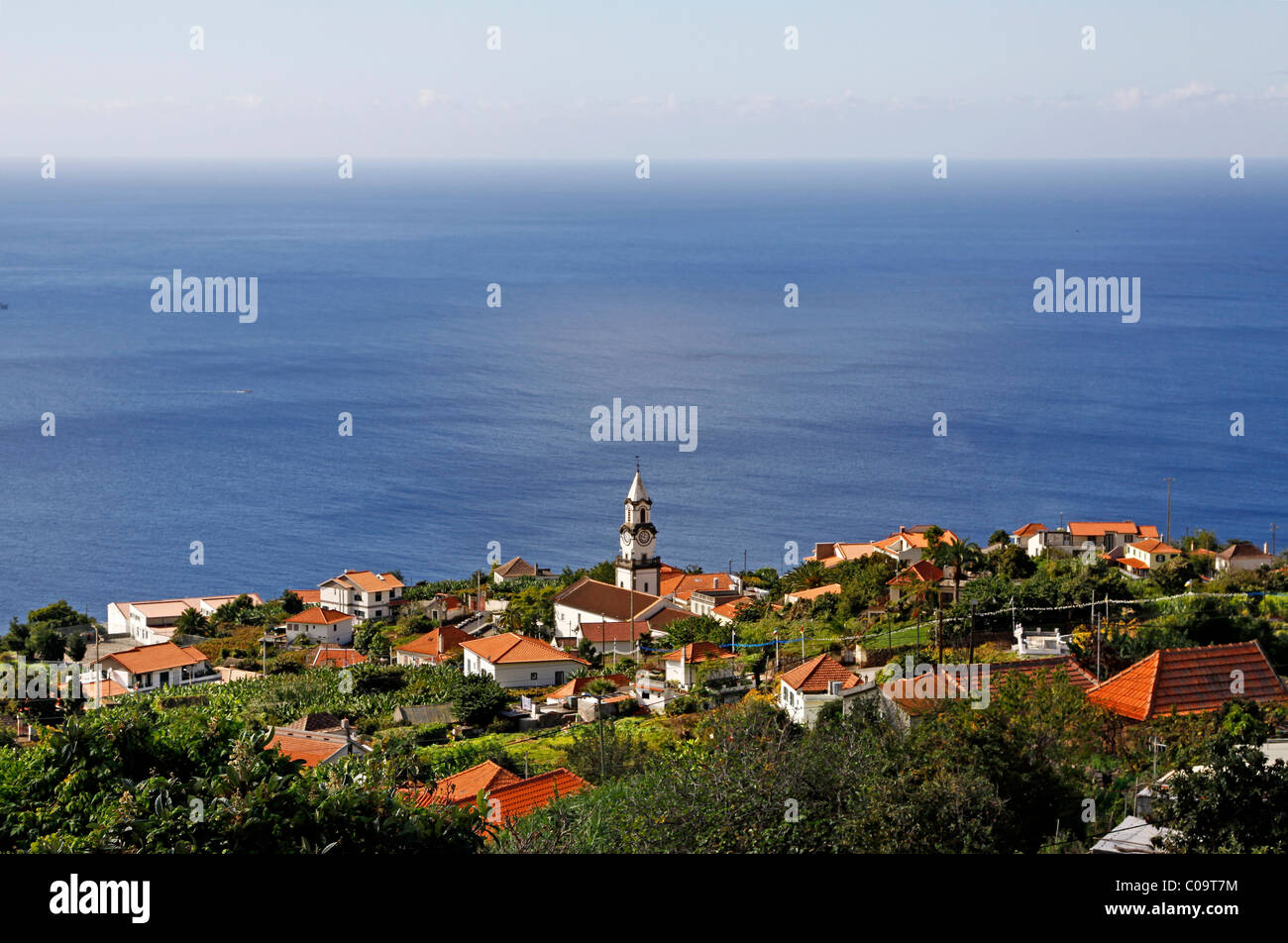 Faia hi-res stock photography and images - Alamy