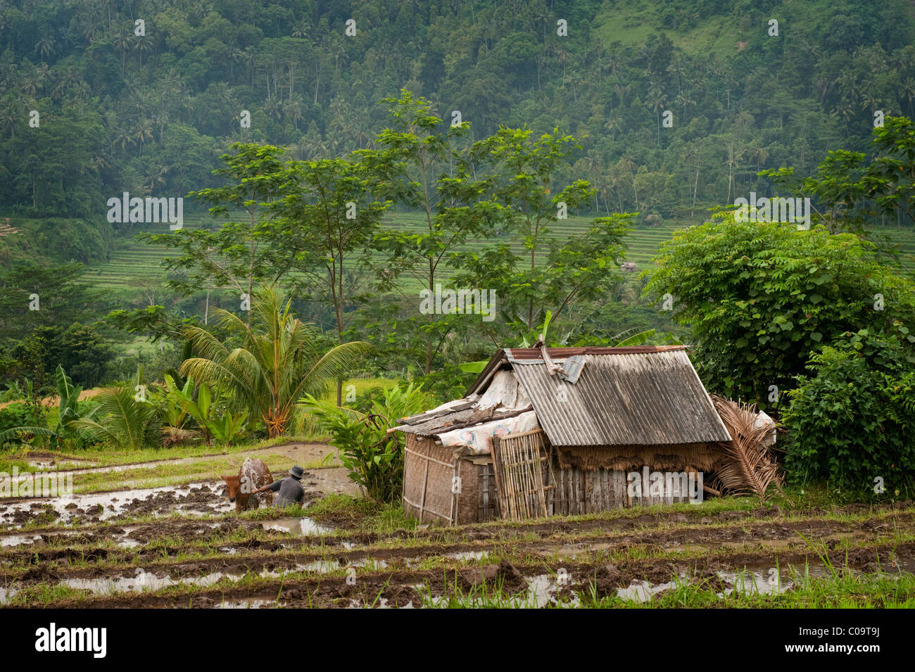 The Sideman Valley in Bali, Indonesia, has some of the most beautiful ...