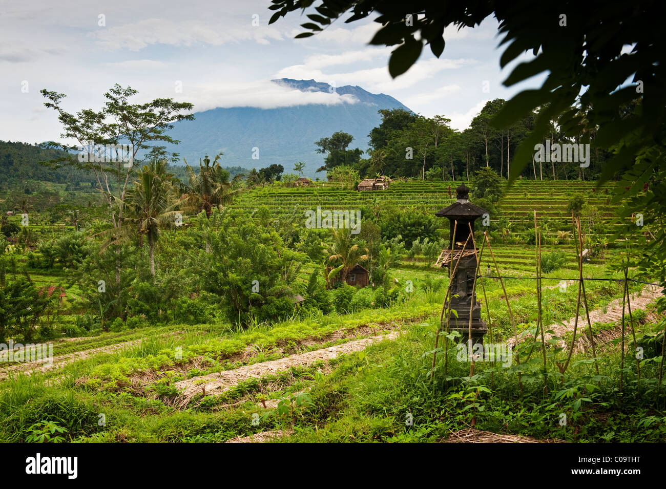 The Sideman Valley in Bali, Indonesia, has some of the most beautiful ...