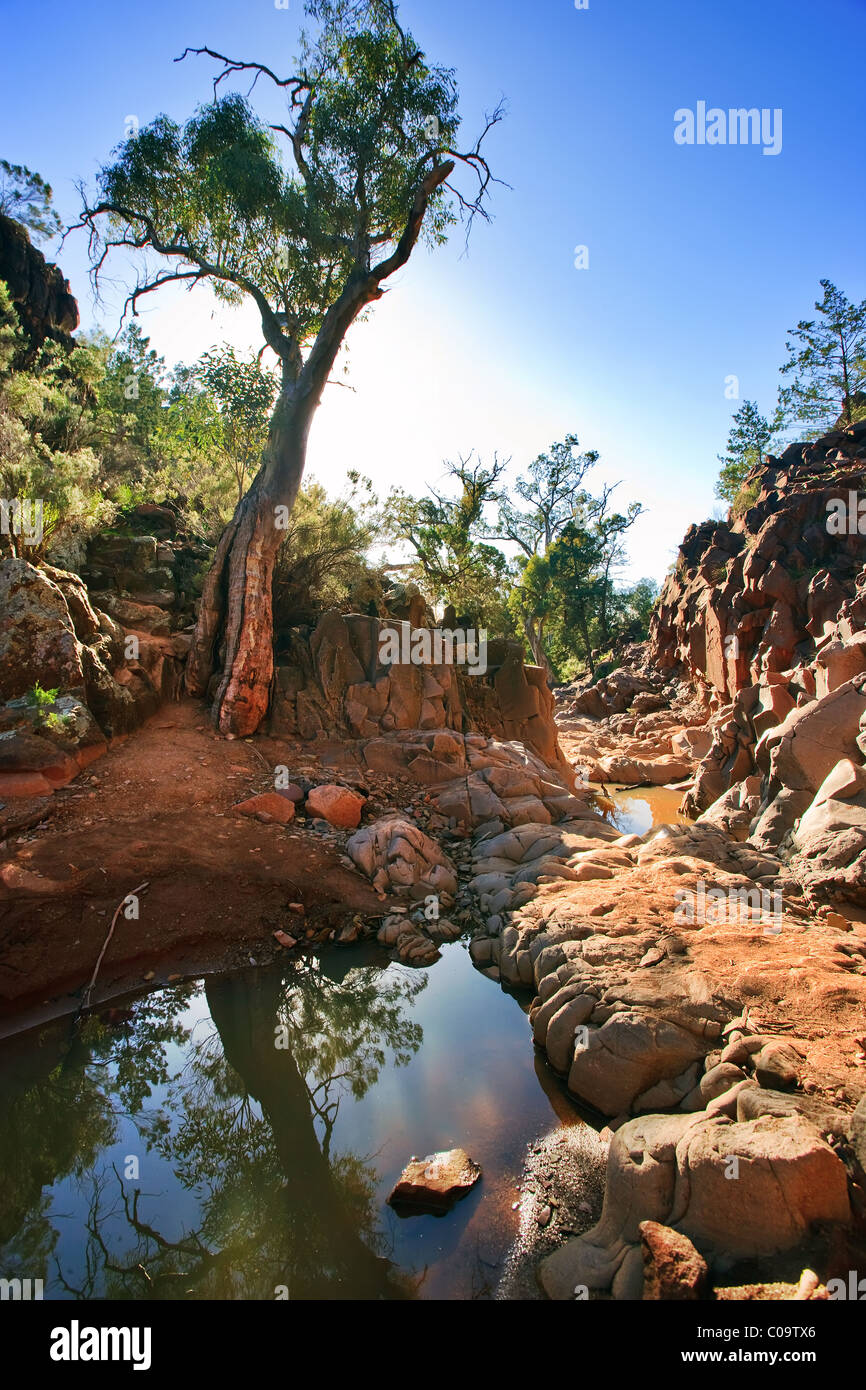 Sacred Canyon Flinders Ranges South Australia Stock Photo - Alamy