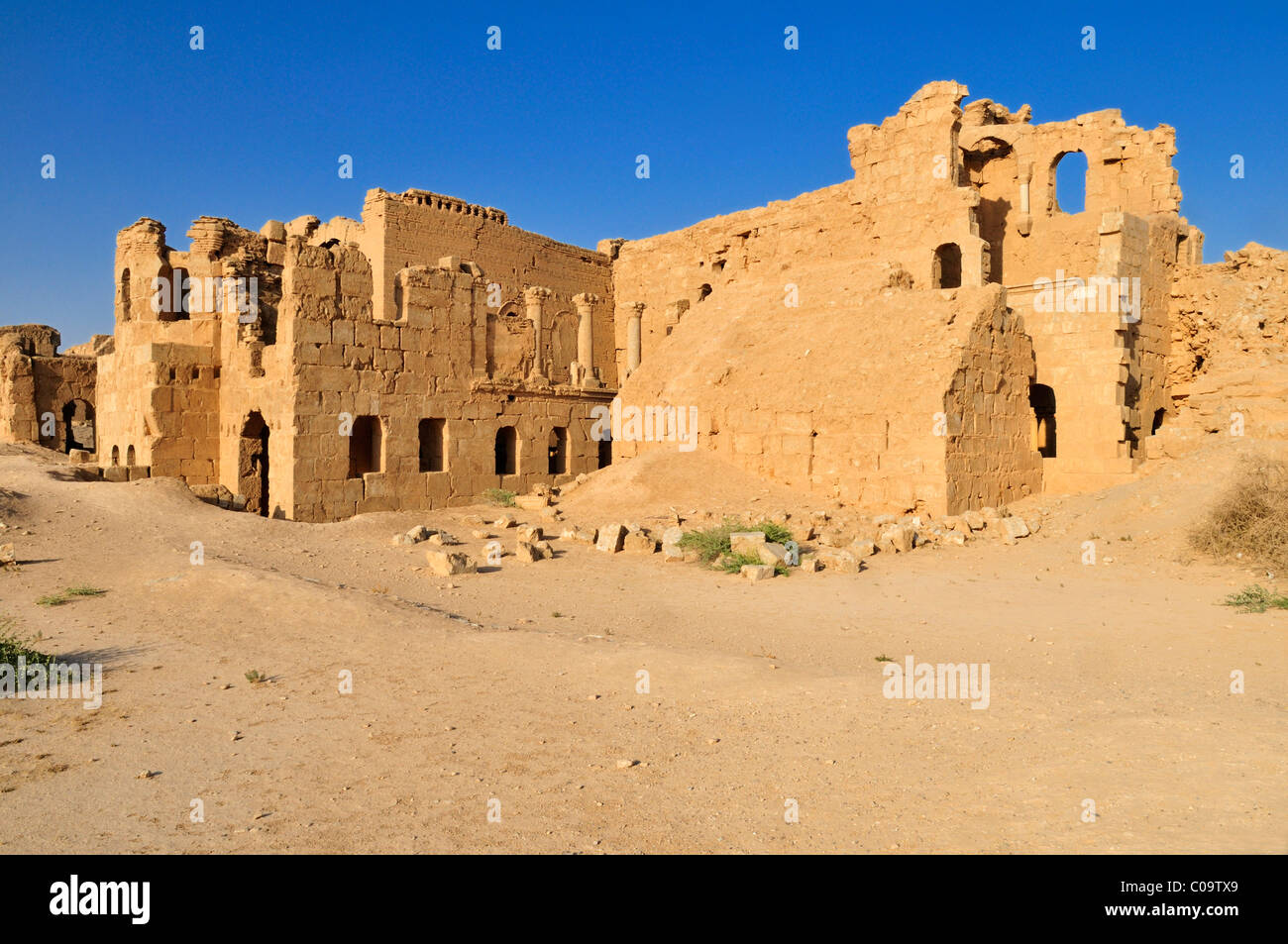 Byzantine ruins at the archeological site of Resafa, Sergiopolis, near ...