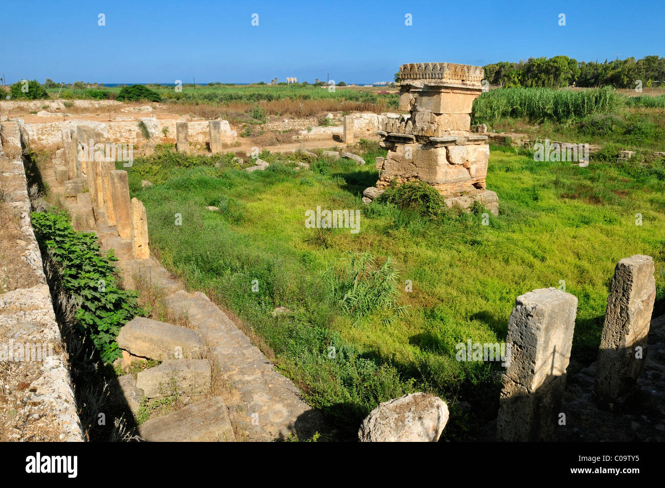 Amrit tartus syria hi-res stock photography and images - Alamy