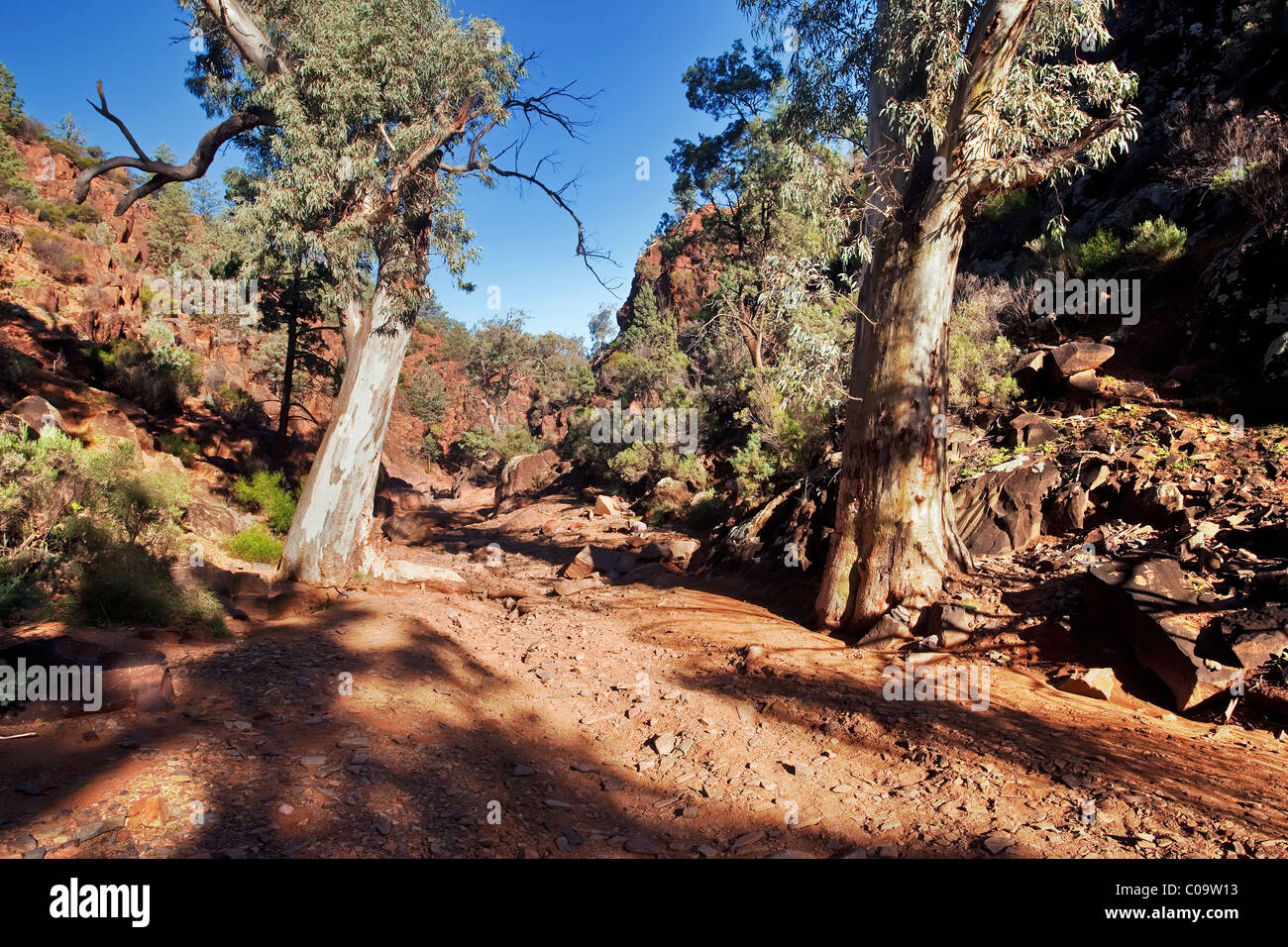 Sacred Canyon Flinders Ranges South Australia Stock Photo - Alamy