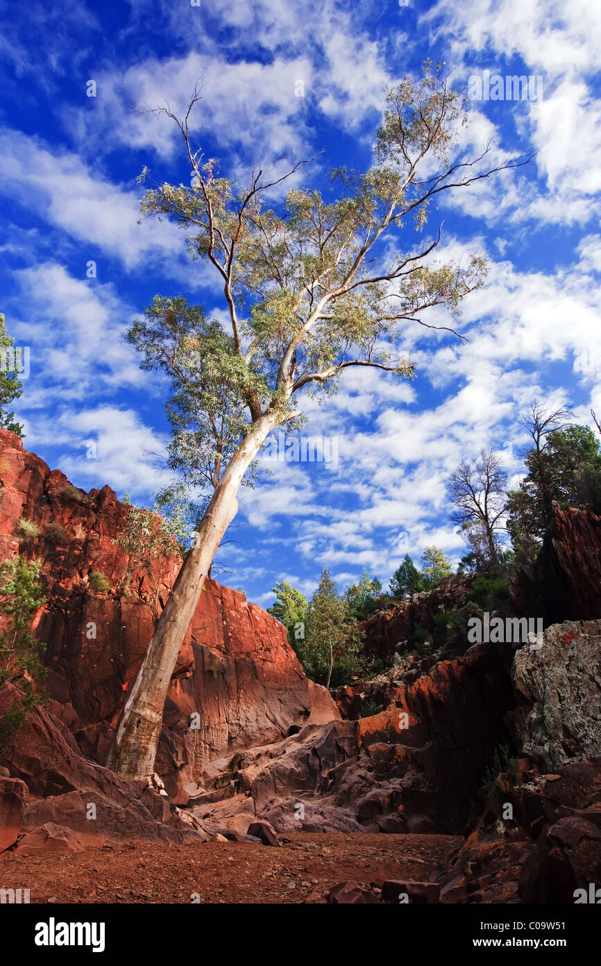 Flinders outback water hi-res stock photography and images - Alamy