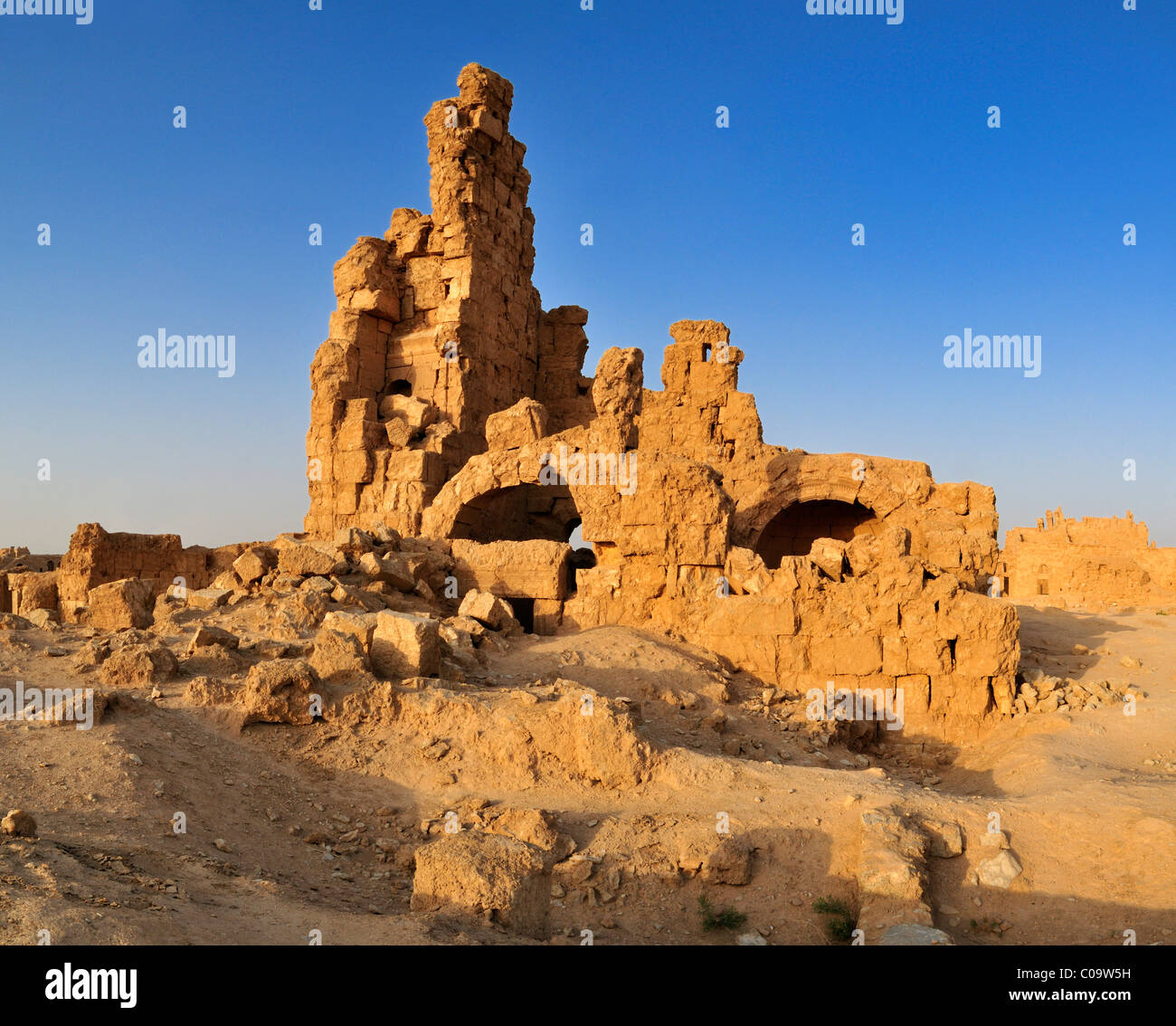 Byzantine ruins at the archeological site of Resafa, Sergiopolis, near ...