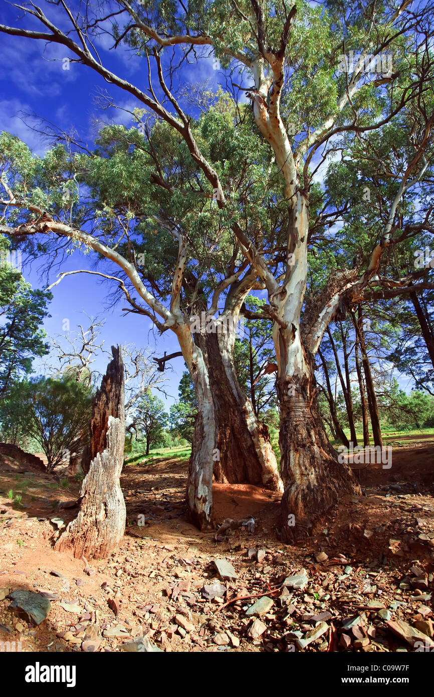 Sacred Canyon Flinders Ranges South Australia Stock Photo - Alamy