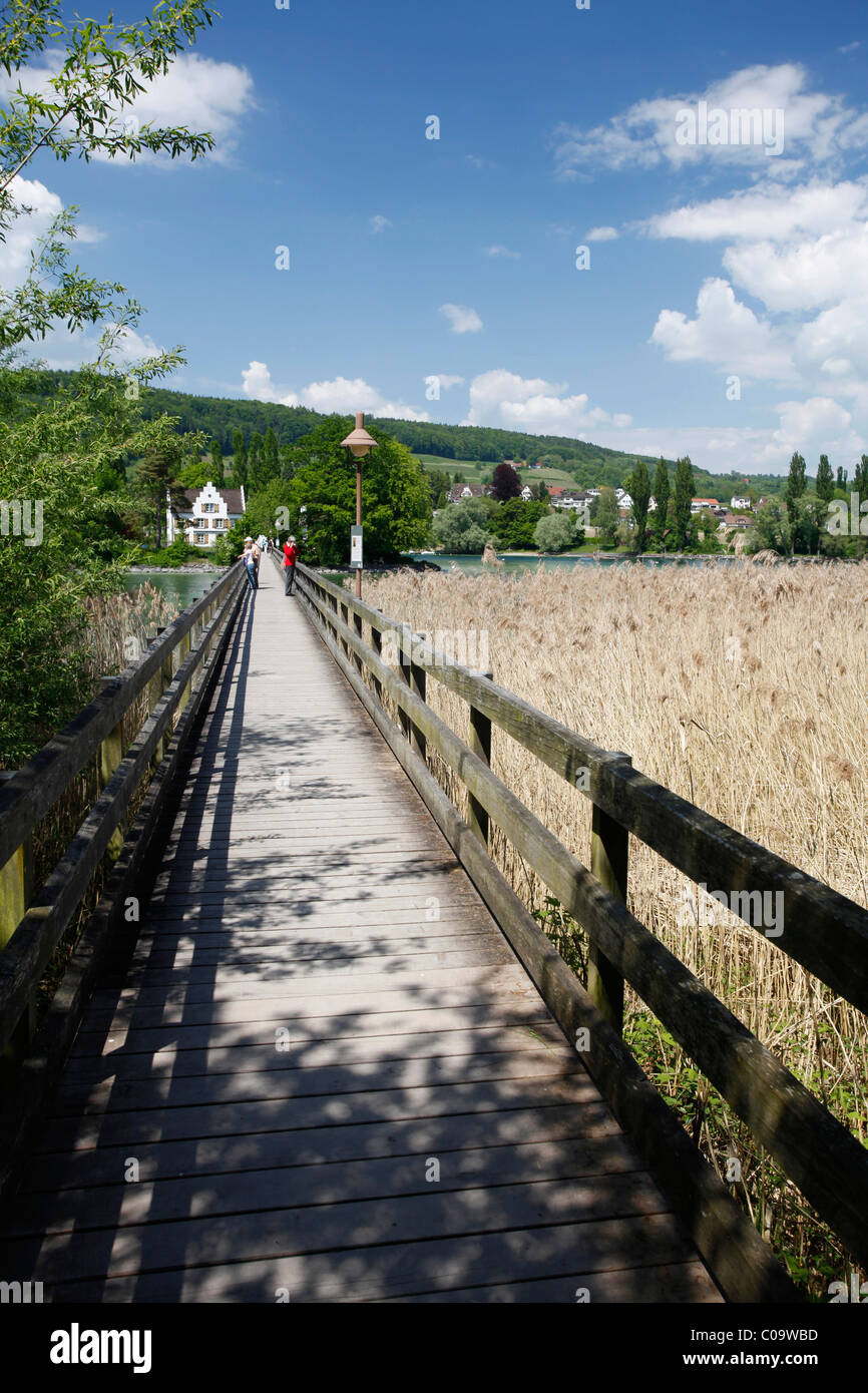 The Werdinsel island with wooden bridge and the chapel in the Untersee ...
