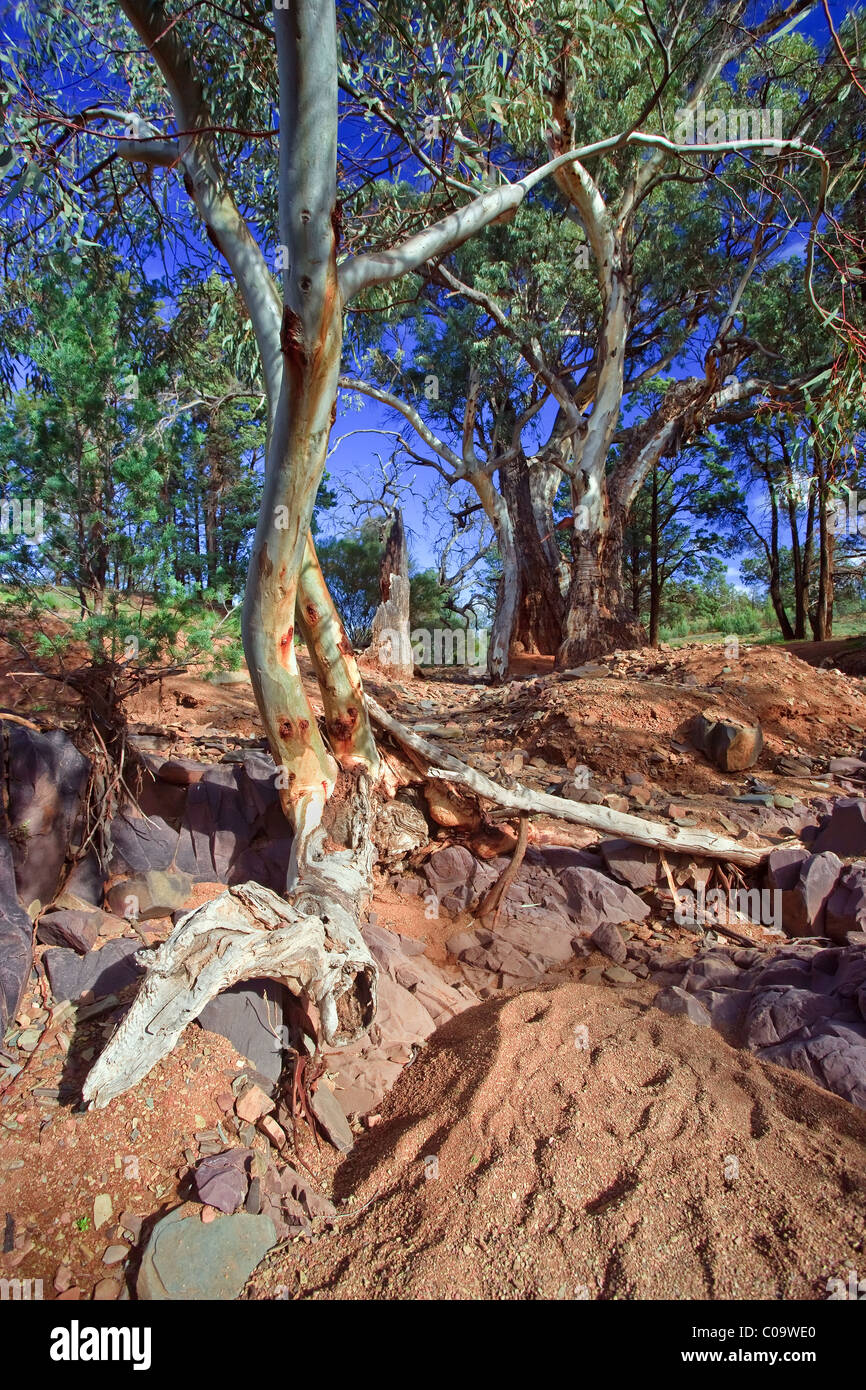 Flinders outback water hi-res stock photography and images - Alamy