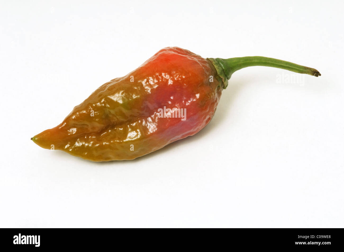 Chilli naga Cut Out Stock Images & Pictures - Alamy