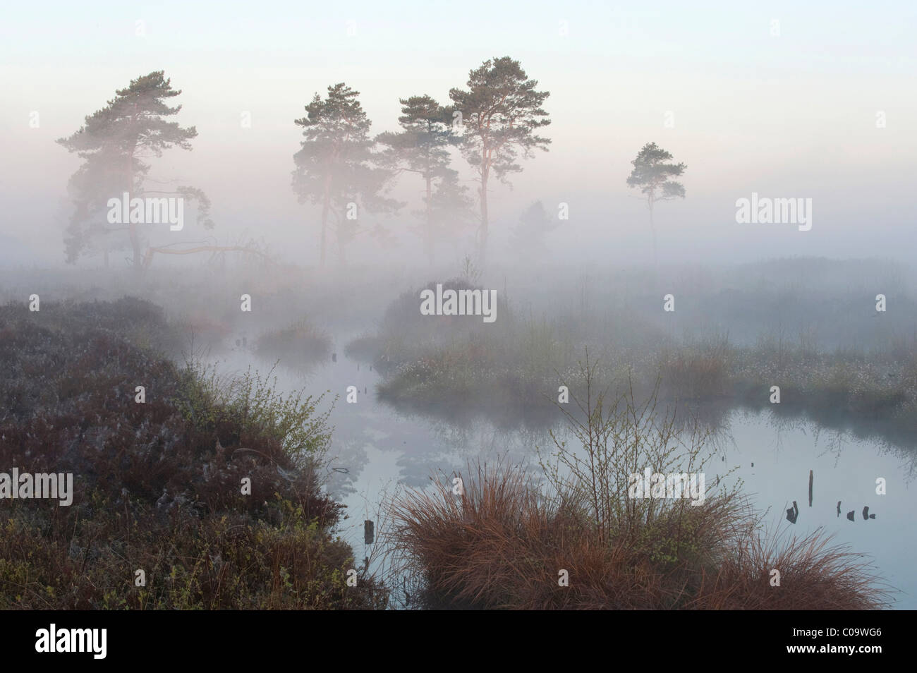 Venne hi-res stock photography and images - Alamy