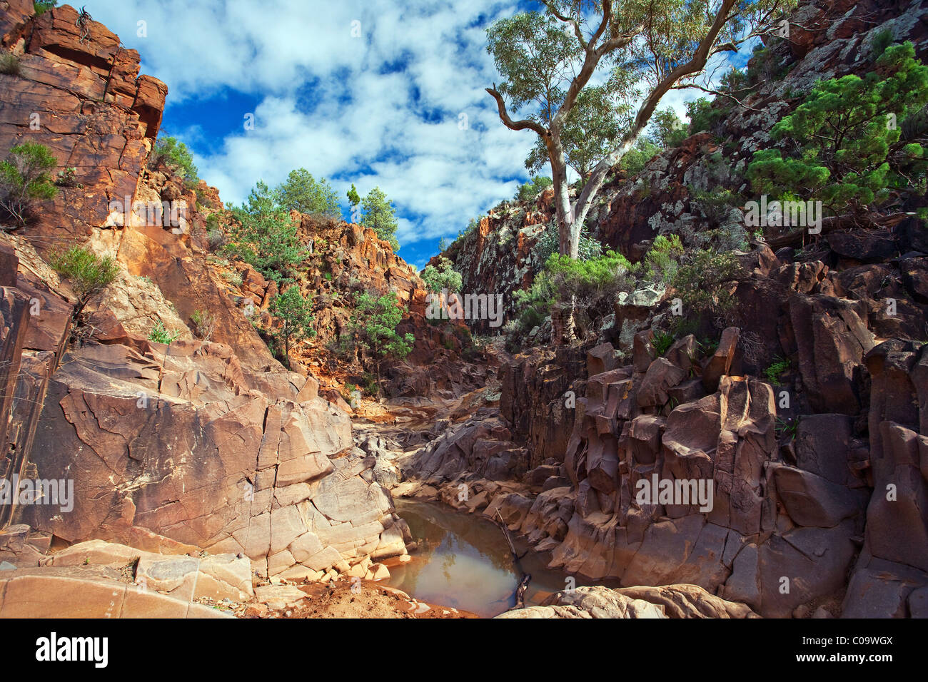 Flinders ranges australia creek hi-res stock photography and images - Alamy