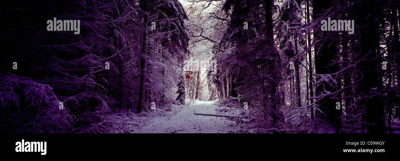 Hide footpath hi-res stock photography and images - Alamy