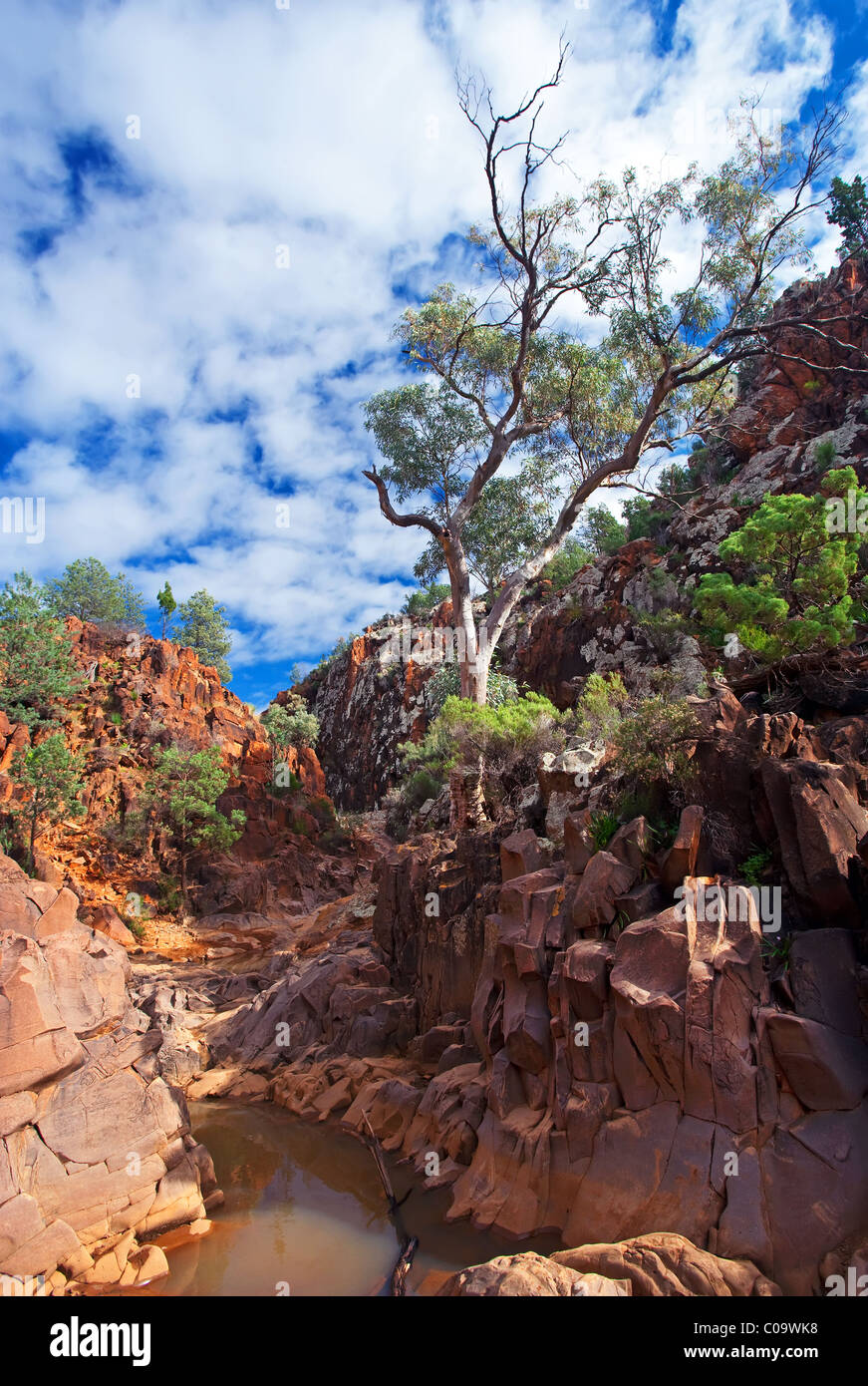 Flinders ranges australia creek hi-res stock photography and images - Alamy