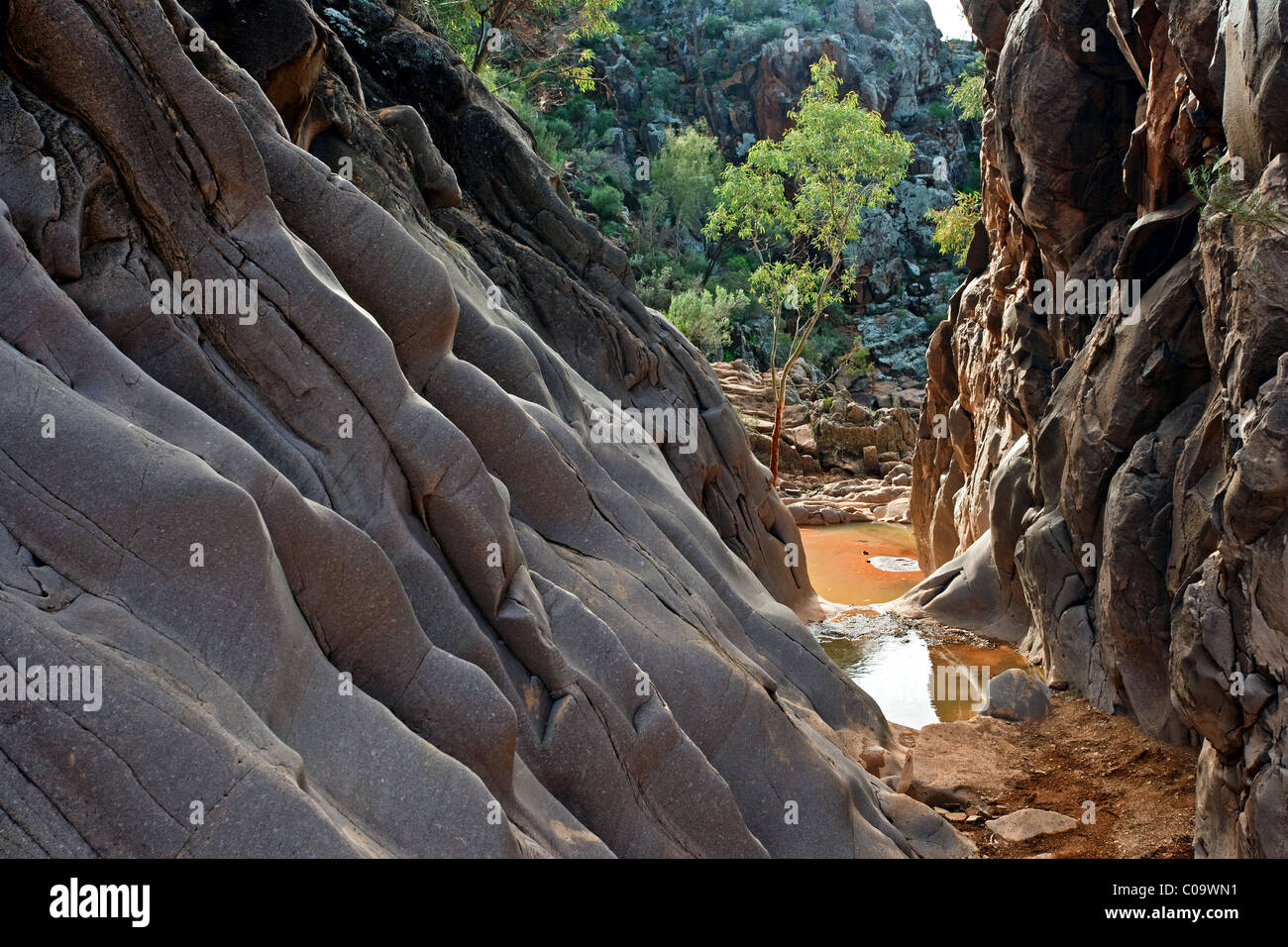 Sacred Canyon Flinders Ranges South Australia Stock Photo - Alamy