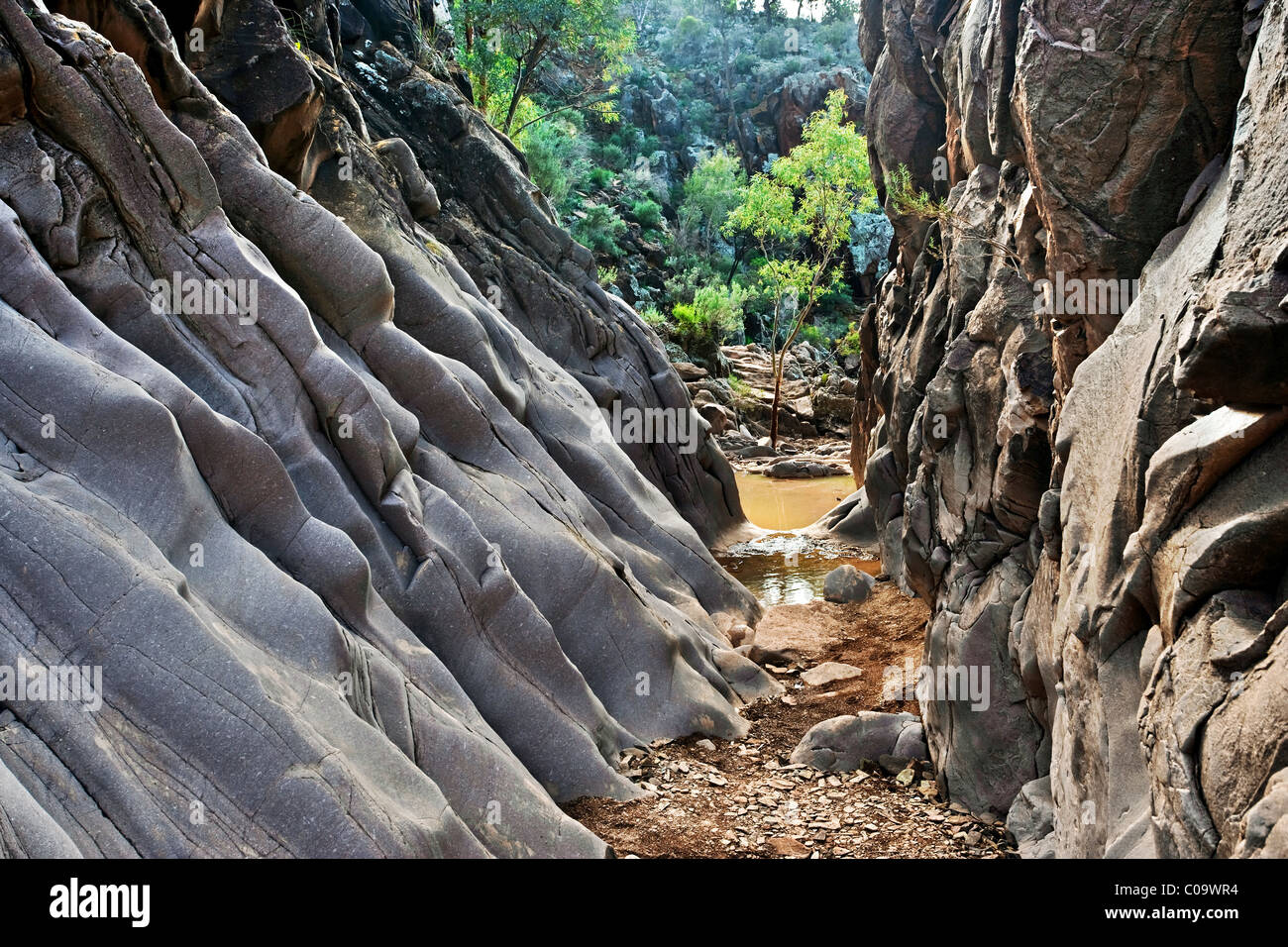 Sacred Canyon Flinders Ranges South Australia Stock Photo - Alamy