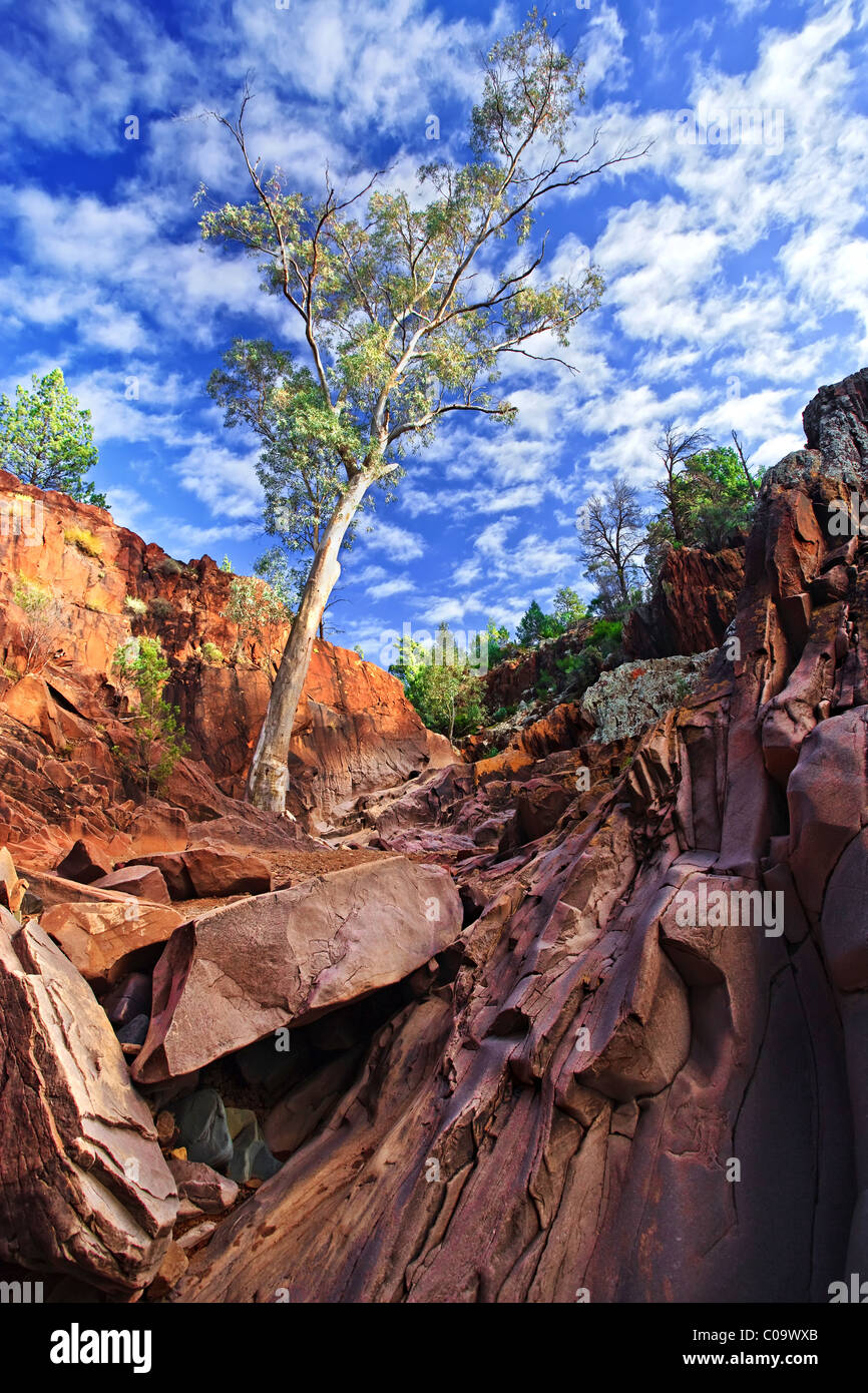 Flinders waterhole hi-res stock photography and images - Alamy