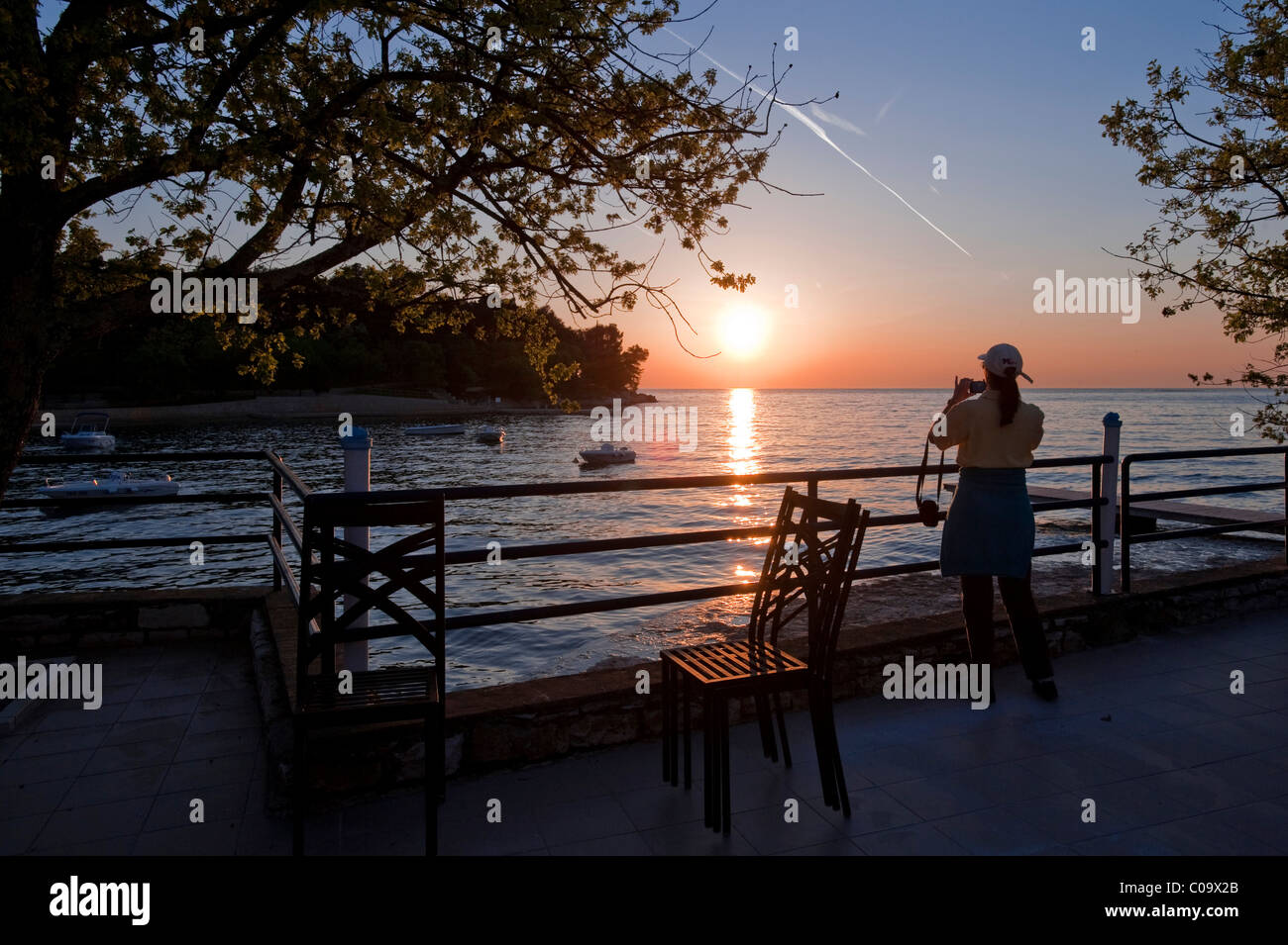 Snapping cedar hi-res stock photography and images - Alamy