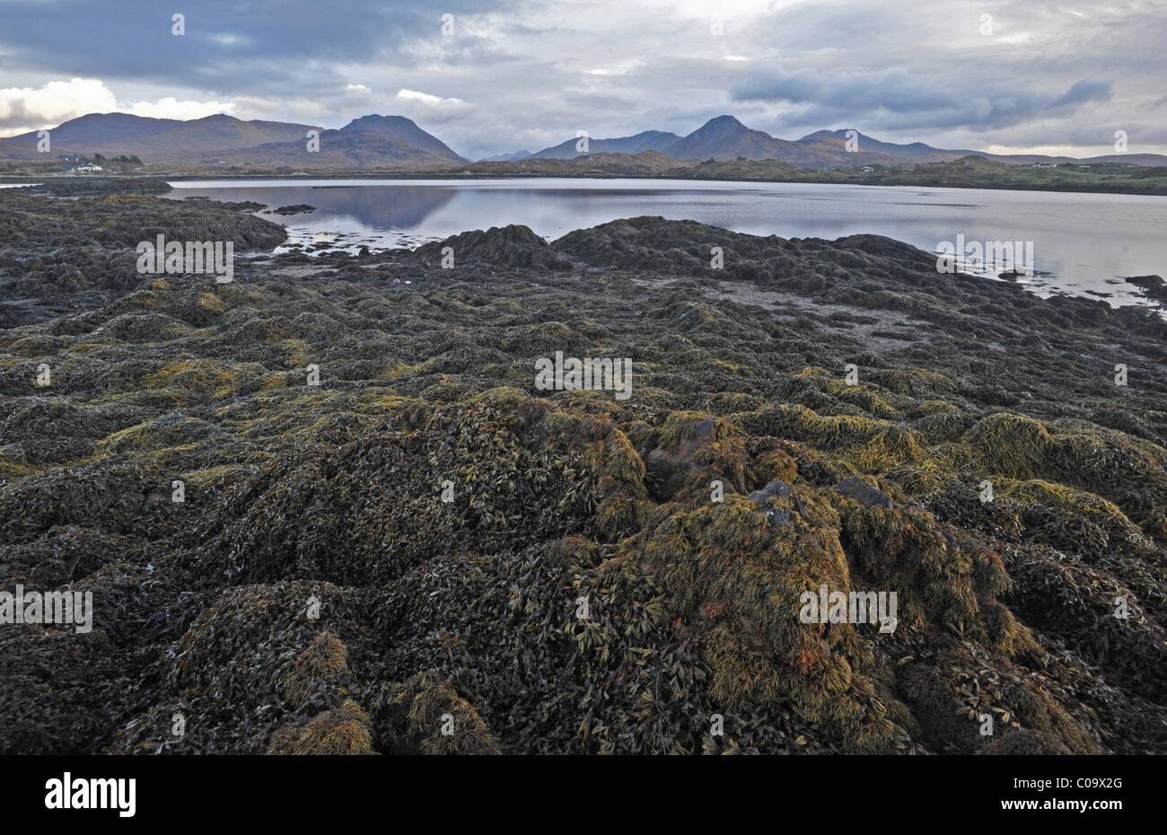 The Twelve Bens from Derryinver, Connemara, Ireland Stock Photo - Alamy